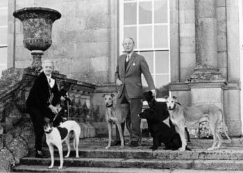 Alfred Beit Foundation Safeguarding Russborough's Legacy